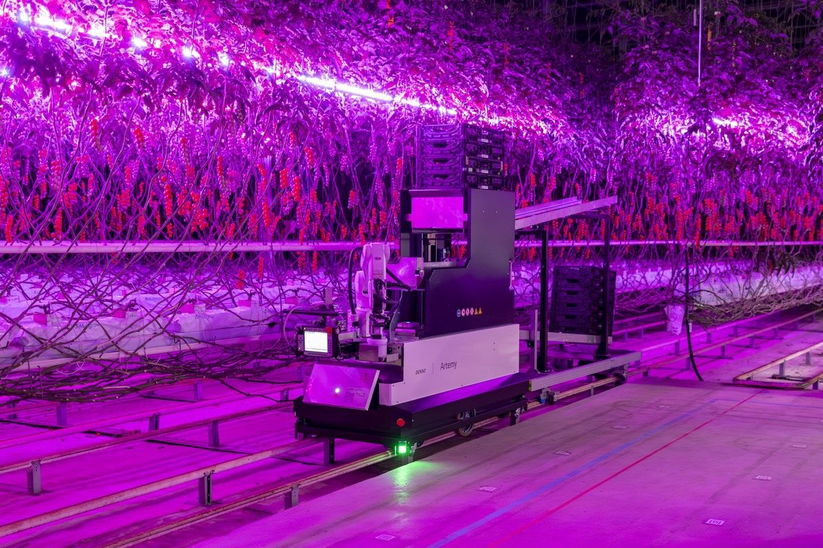 A Fully Automated Cherry Truss Tomato Harvesting Robot to Hit the Market