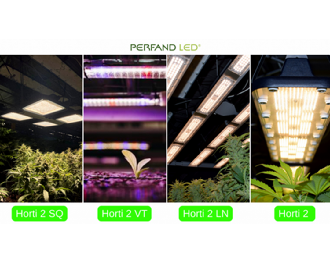 A More Natural Form Of Artificial Lighting With An LED Pulse Technology ...