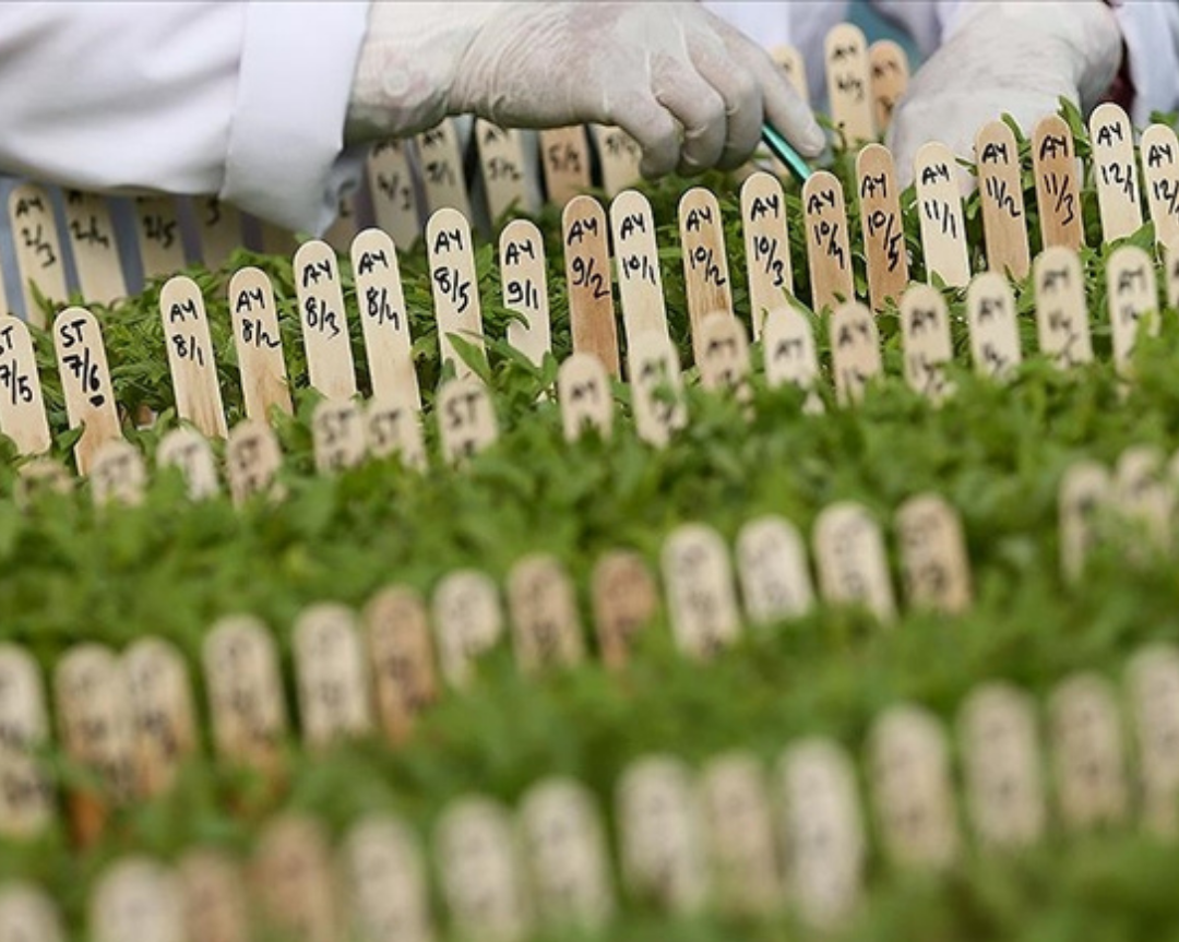 Türkiye'den Haberler | Tarım Postası